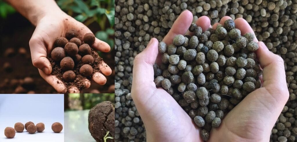 Seed Balls: Plantable Seed Balls - MediumPulse.Com Ajay Gautam