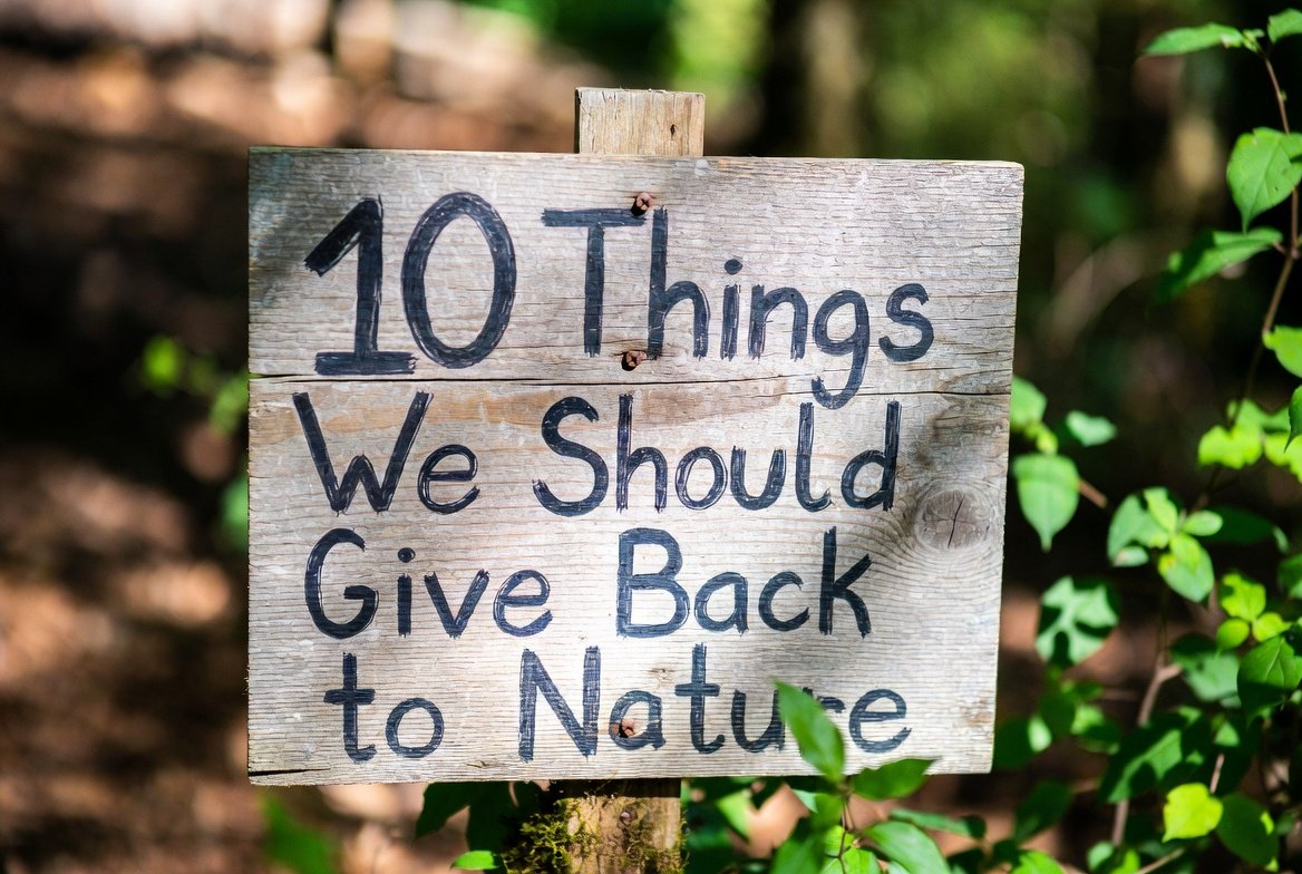 10 Ways We Can Give Back to Nature - MediumPulse.Com Ajay Gautam